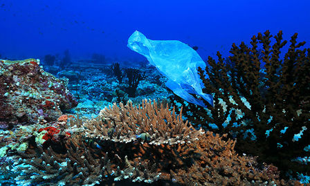 20 Facts About Waste in Australia’s Great Barrier Reef | Tip It Rubbish ...